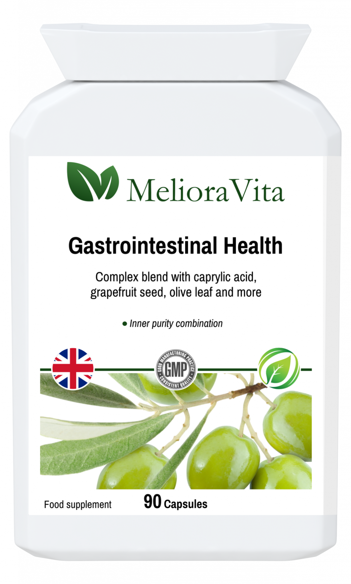 Gastrointestinal Health | MelioraVita Health & Wellness